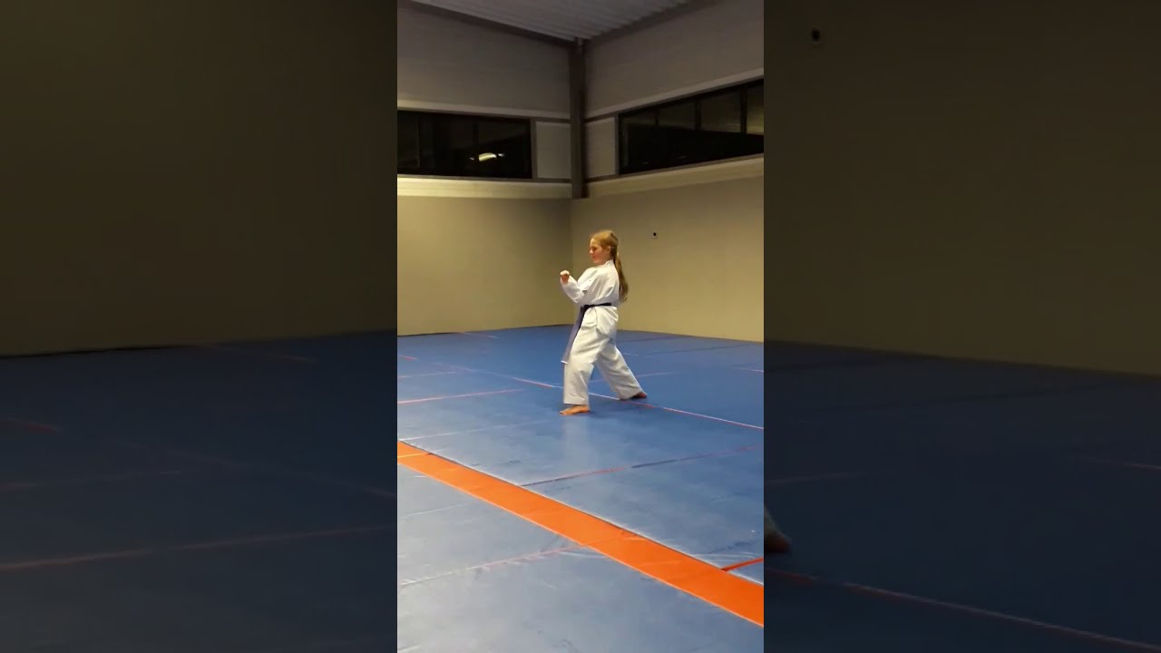 Entrainement poomse 8 - YouTube