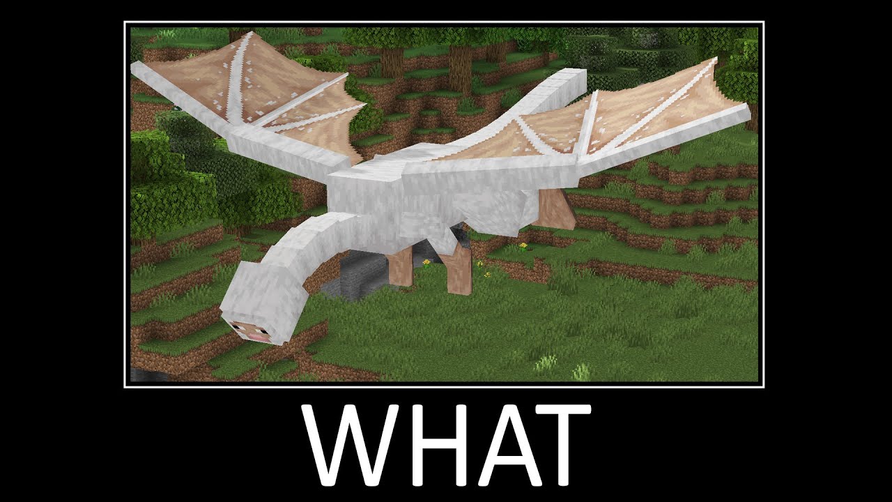 Wait What Minecraft Meme - @JoSa Craft @Not Safe @zFazT ™ @Milkair ...