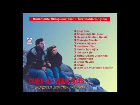 Cansu Koç / Alp Murat Alper - İstanbul'da Bir Çınar