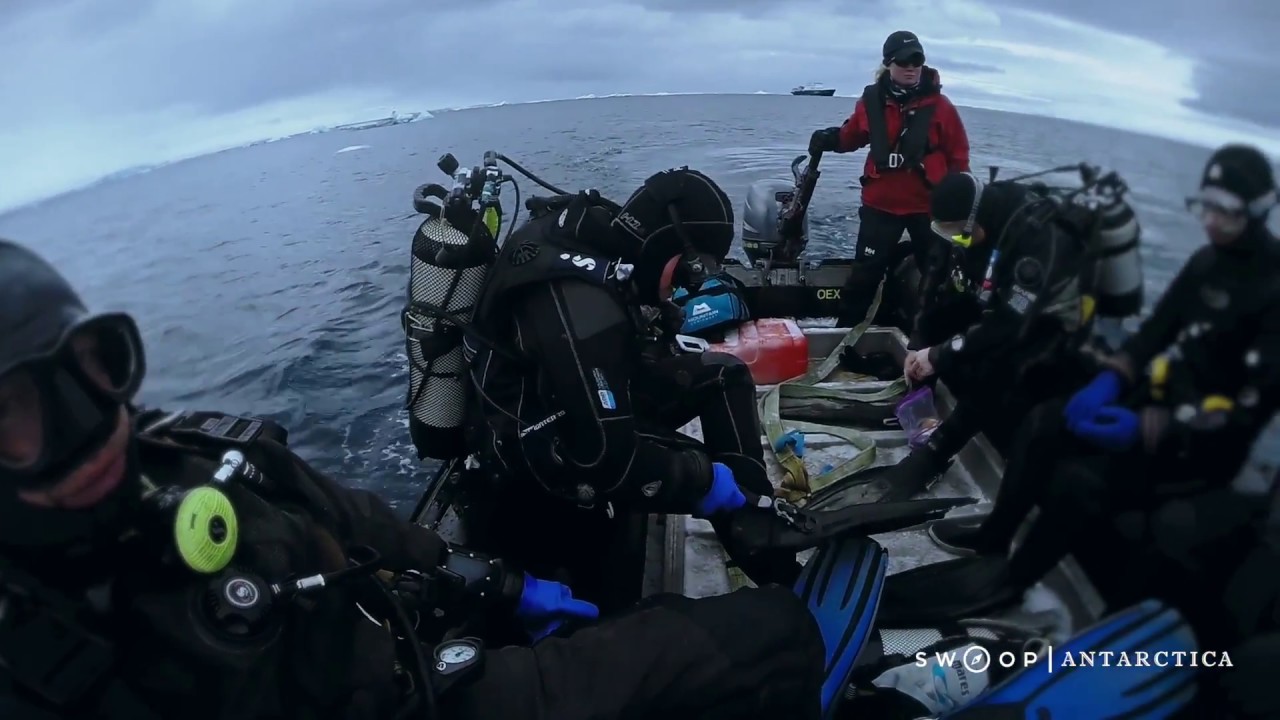 Diving in Antarctica - YouTube