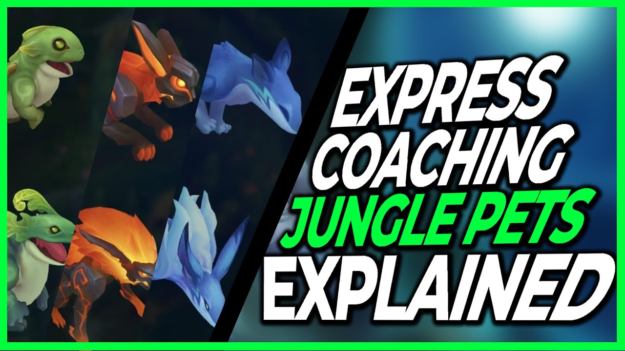 EXPRESS Jungle Coaching | JUNGLE PETS? | Season 13 - YouTube