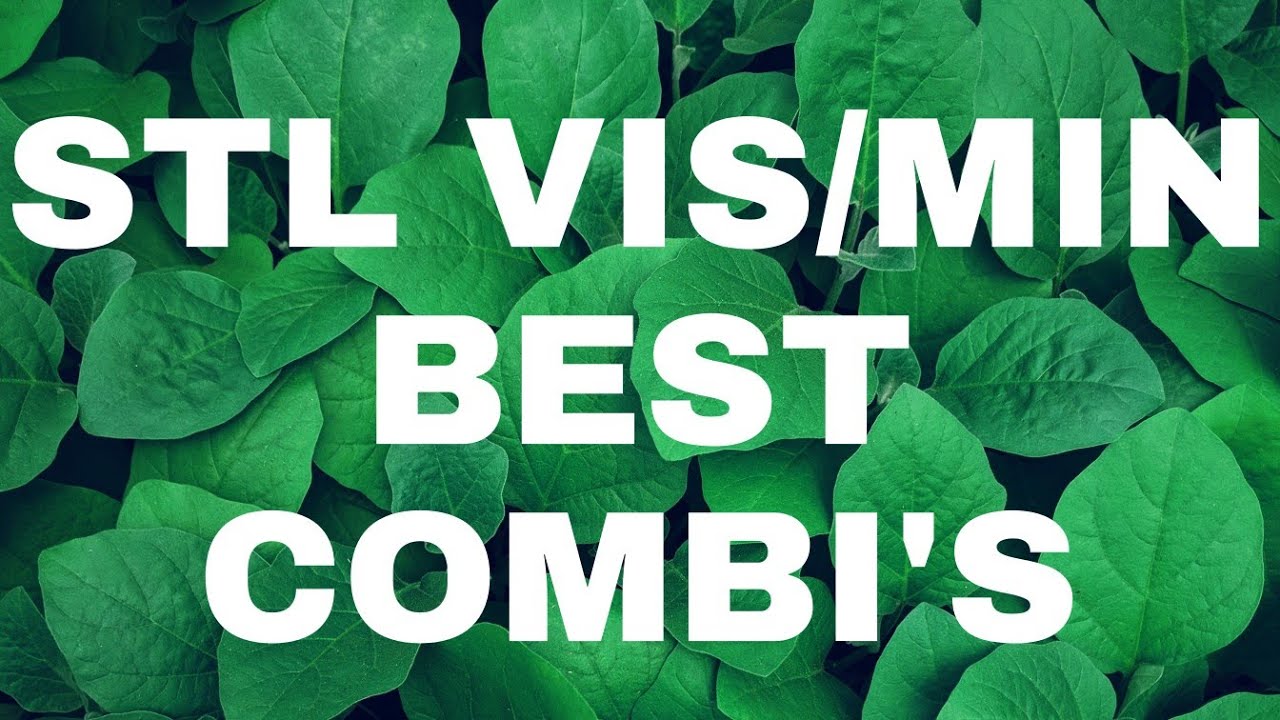 STL VIS/MIN BEST GUIDES (BY WILKOY VLOG) MARCH-13-2022💚💚💚💚 - YouTube