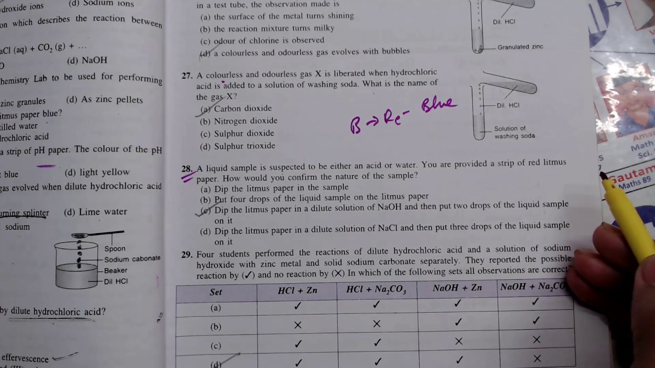 2019 Practical Questions Science 10th | 500+ Questions Series - YouTube