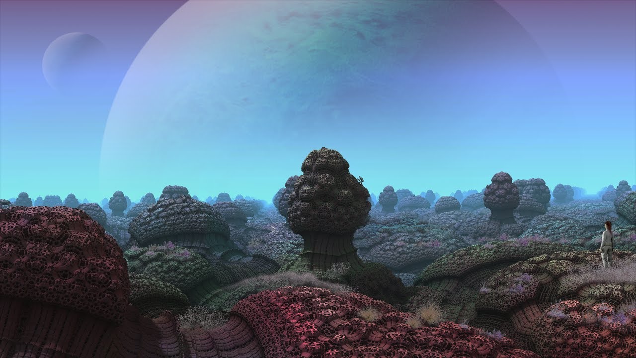 The Mushroom World - a relaxing ambient soundscape for the mind - YouTube