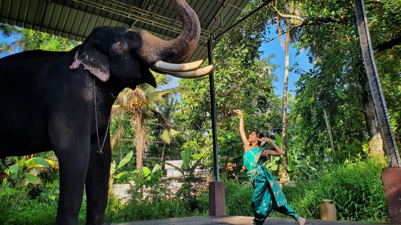 Devasabhathalam | Dance Cover by Nanditha | Ft. Chirakkal Kalidasan ...