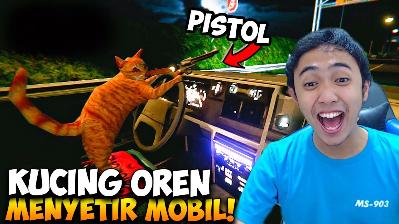 KUCING OREN BARBAR NYETIR MOBIL NGEROKOK BAWA SENJATA - Nip For Speed ...