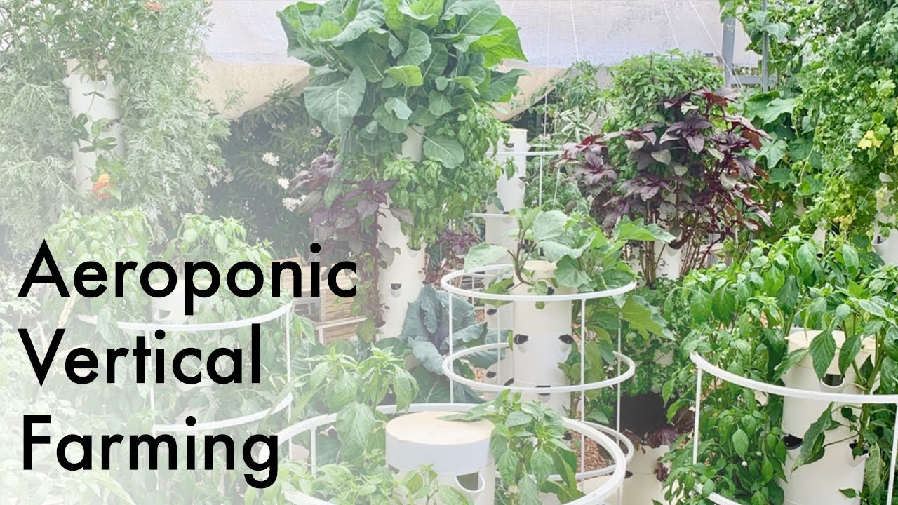 Vertical Farming with Aeroponic Tower Gardens - YouTube