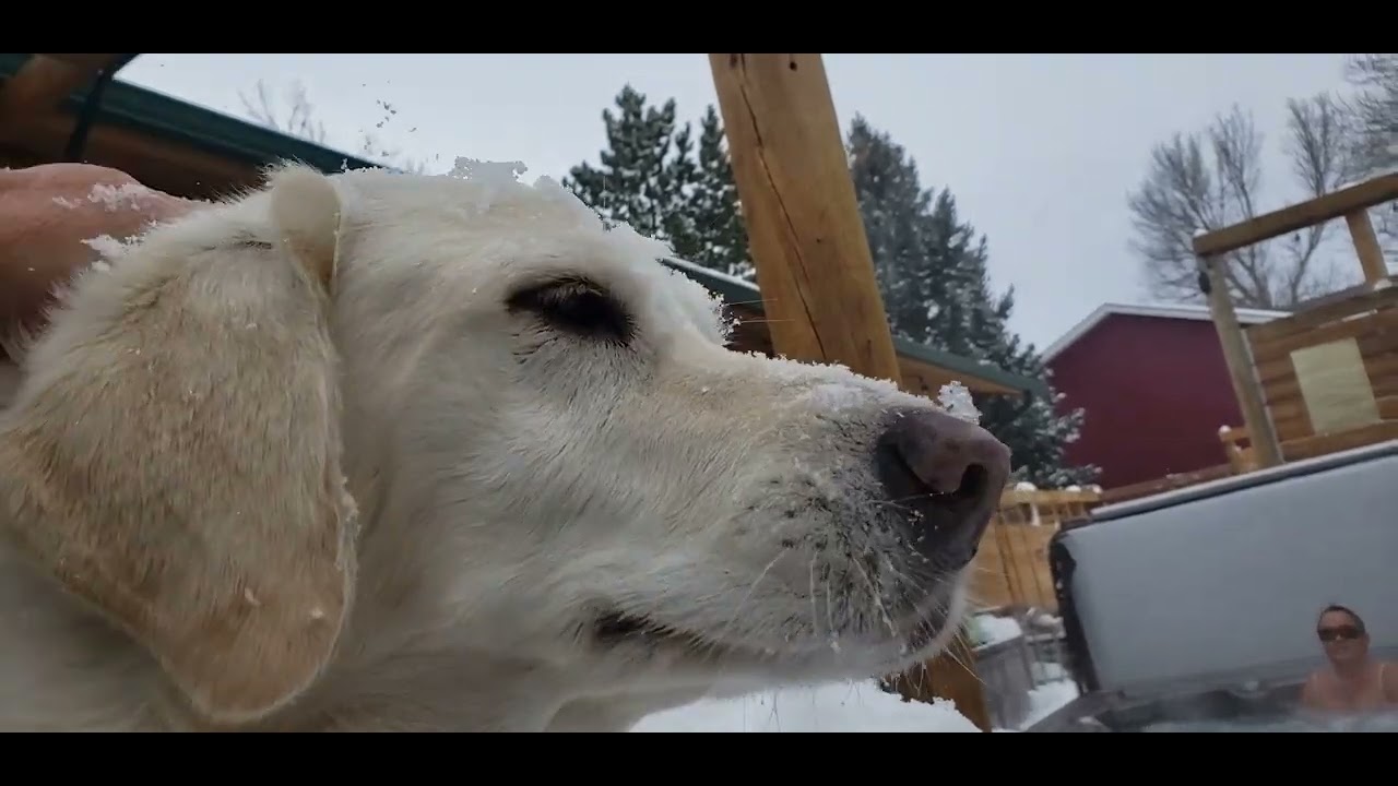 Molly Snow - YouTube