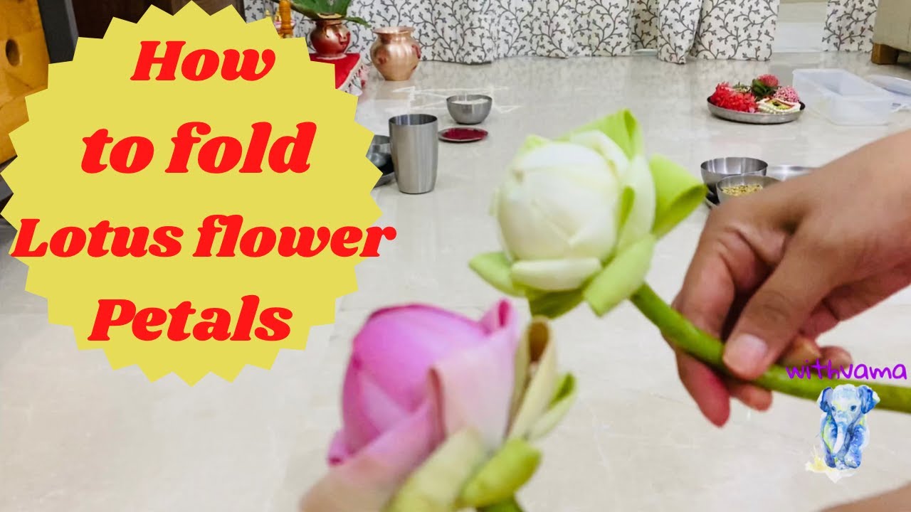 HOW TO FOLD LOTUS FLOWER PETALS #withvama - YouTube
