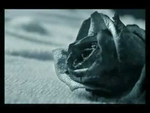 GAVS İ SANİ' YE İTHAFEN   YouTube