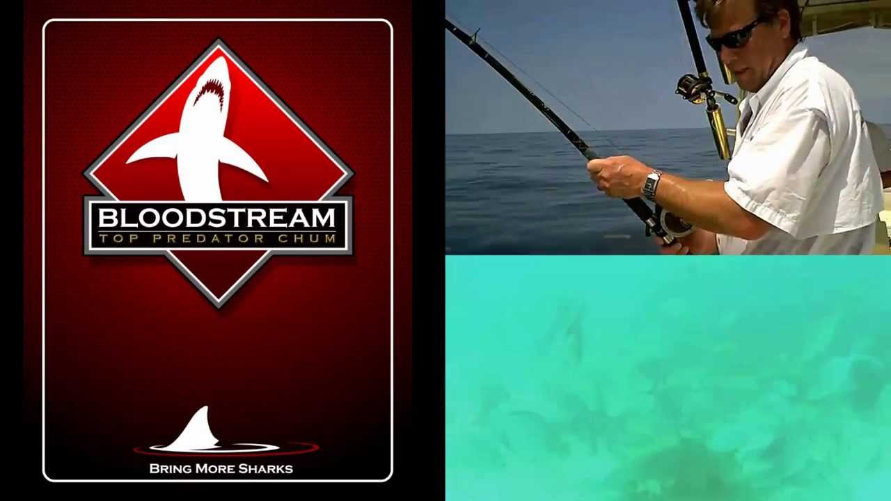 Shark Fishing Shark Chum Bloodtream Top Predator Chum - YouTube