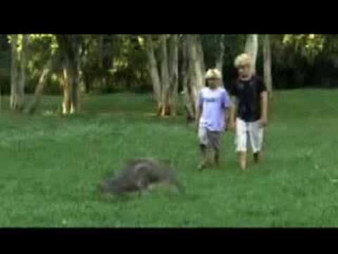 Matt Beacham Interview- Walking On Water - YouTube