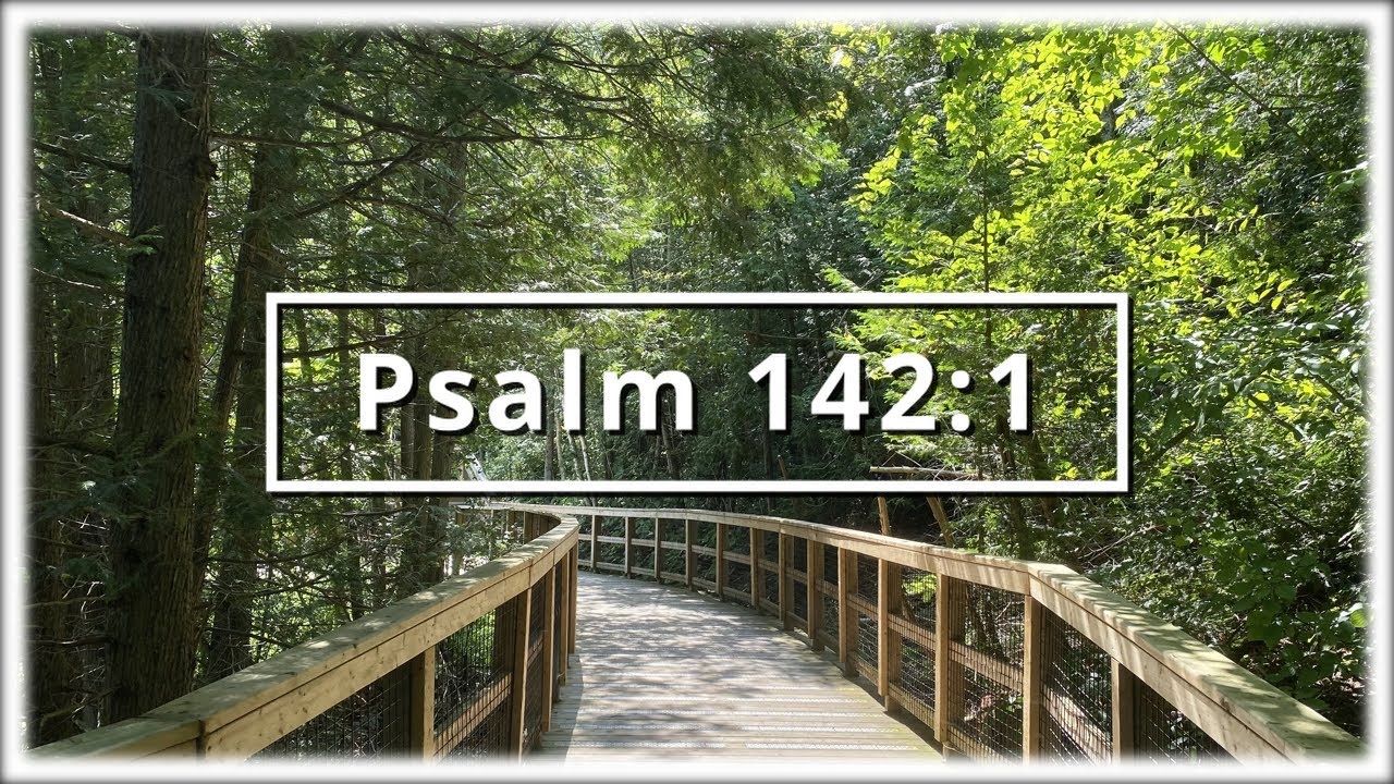 Psalm 142:1 Devotion || Daily Revelation Harvest - YouTube