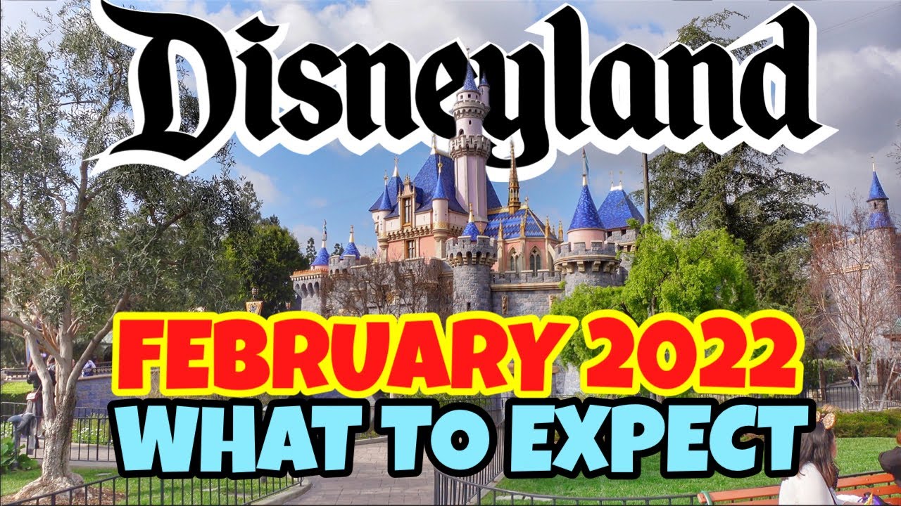 Complete Guide to Disneyland in February 2022! Rides, Crowds, Food ...