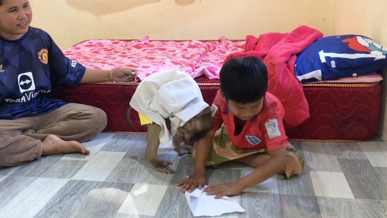 Clever Jason Bow Salute Demand Brother Make Paper Plane Fast - YouTube