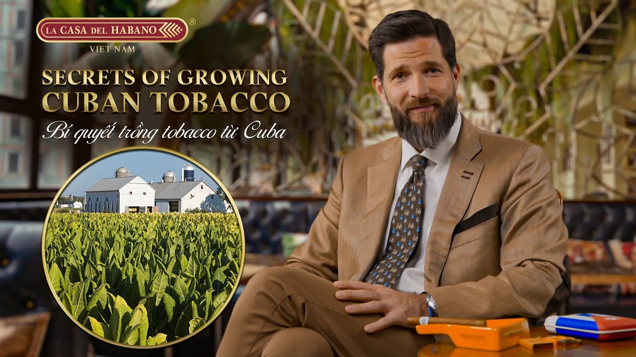 Tập 8: Bí quyết trồng tobacco từ Cuba cùng Alex Dandy - YouTube