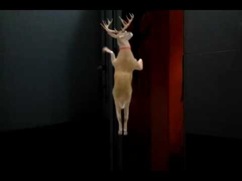 Bumen cox gulmeli videyo