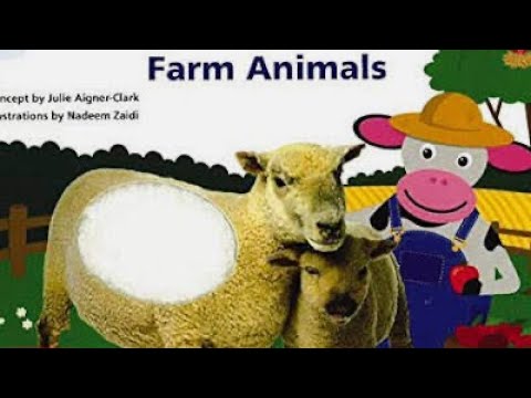 Baby Einstein Touch and Feel Farm Animals@mommyreads101 - YouTube