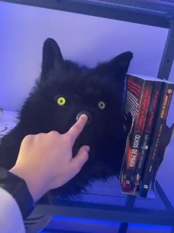 a random desk showcase - YouTube