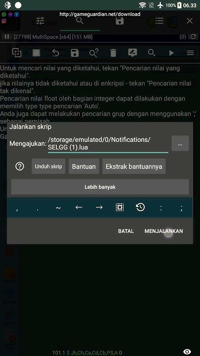 how to insert a script gg? - YouTube