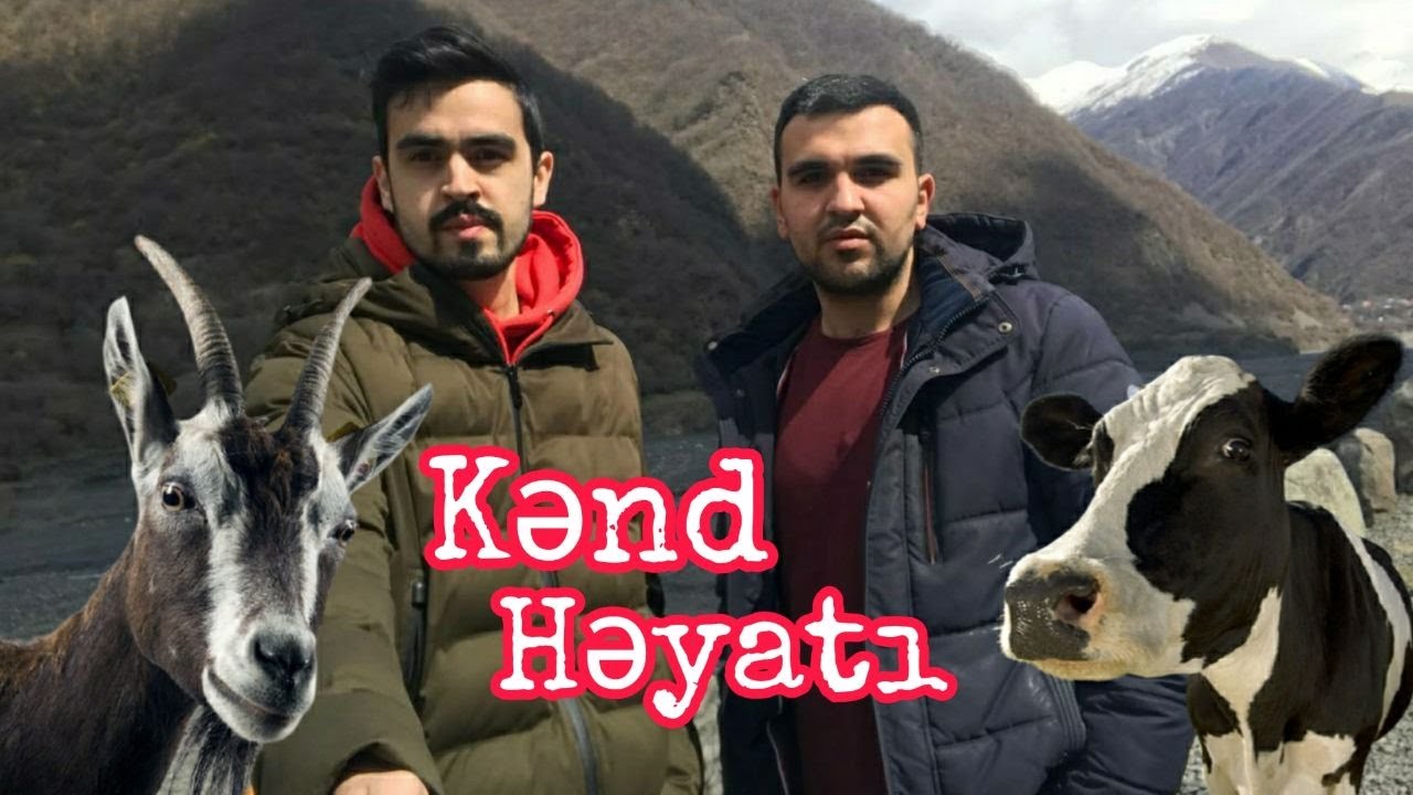 kend heyati Qax/ Village Life Vlog 4k 60fps HDR - YouTube