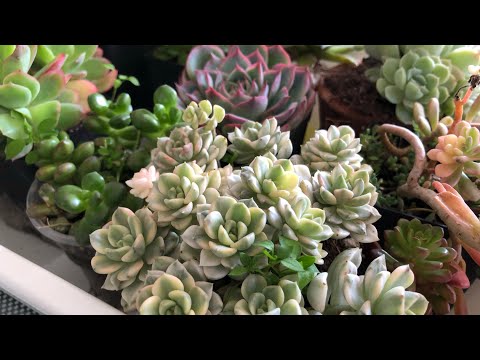 Yolcu güzeller bakalım kim neler almış yeni yuvalarına mutluluk götürsünler ❤️❤️❤️