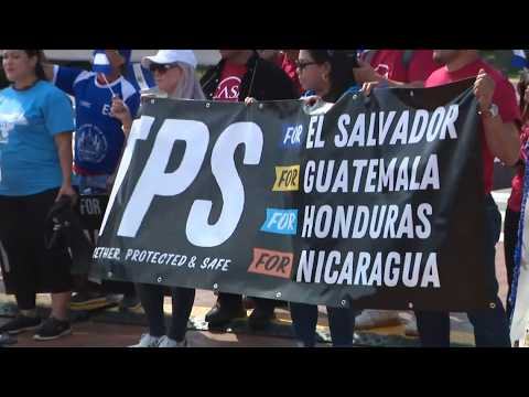 Thousands of Salvadorans at risk of deportation if Temporary Protected Status is not extended