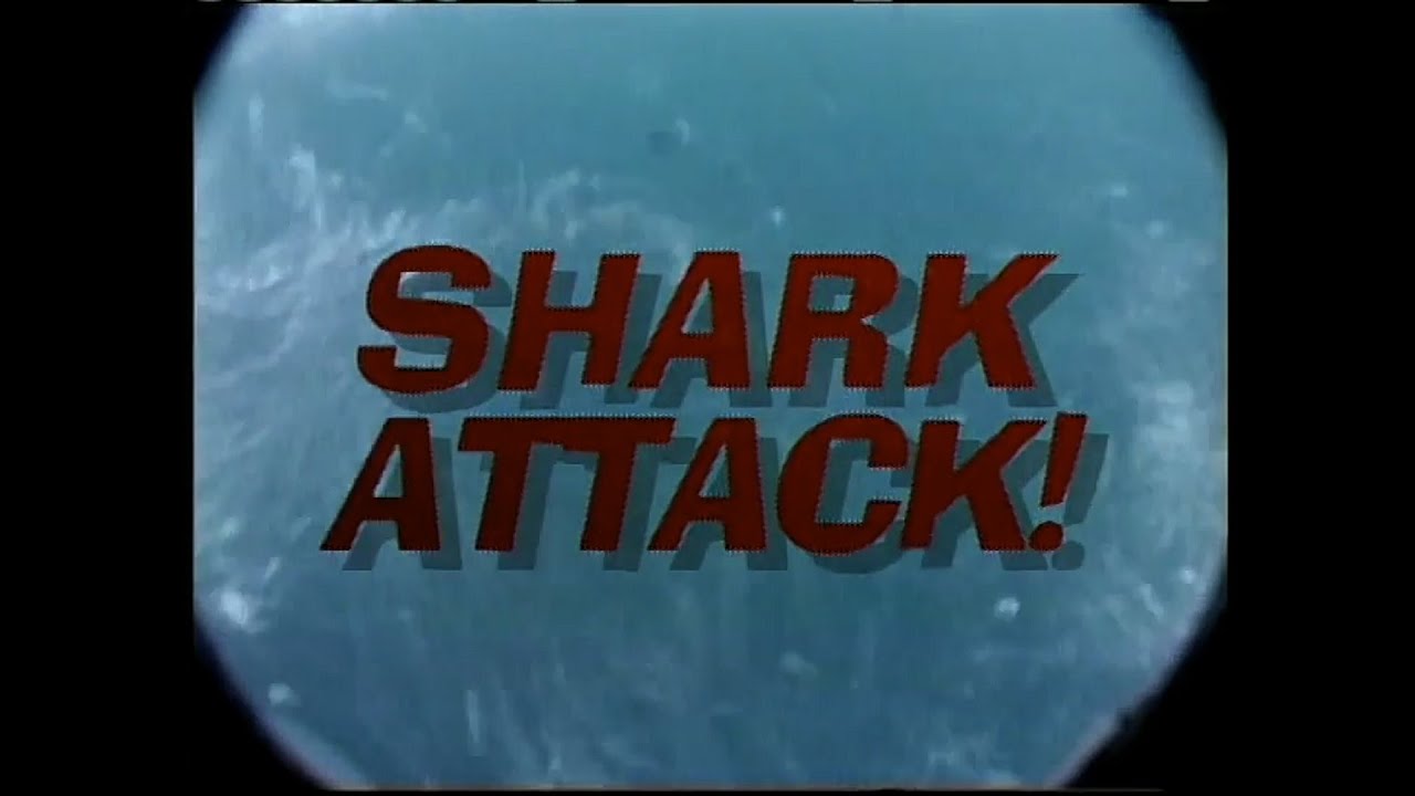 NOVA - Shark Attack (1997) - YouTube