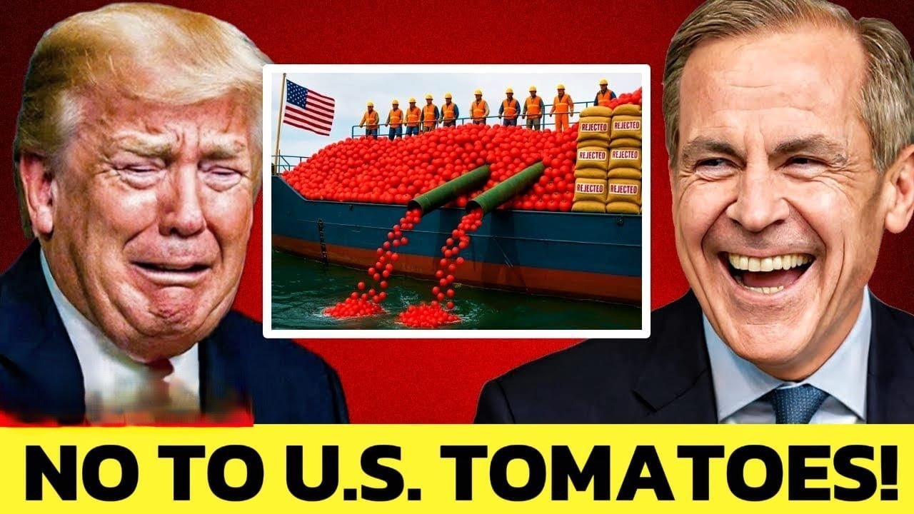 Canada’s Ban Cripples U.S. Tomato Industry as Mexico Rakes In \$12 ...