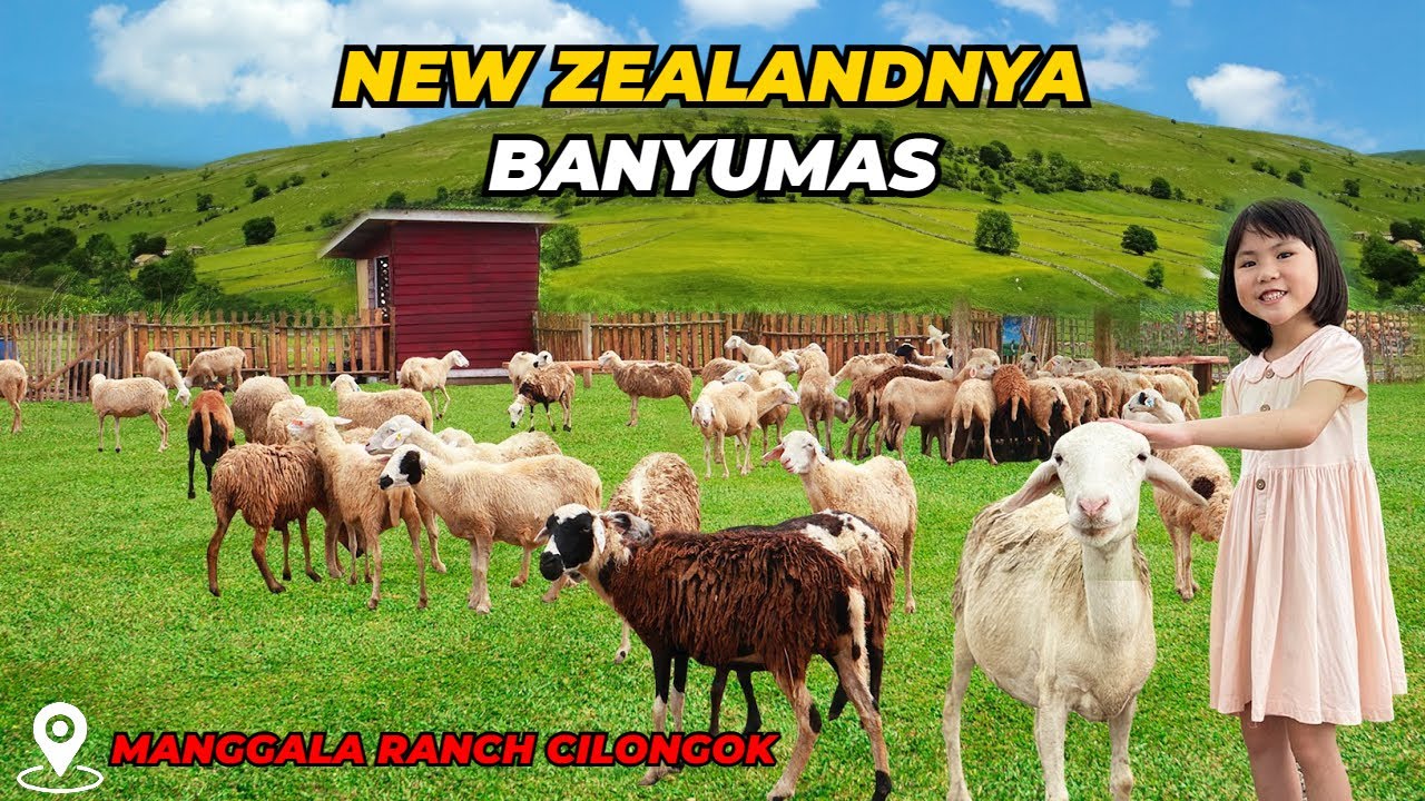 WISATA MANGGALA RANCH CILONGOK BANYUMAS || JOVELYN MICHELLE FAMILY ...