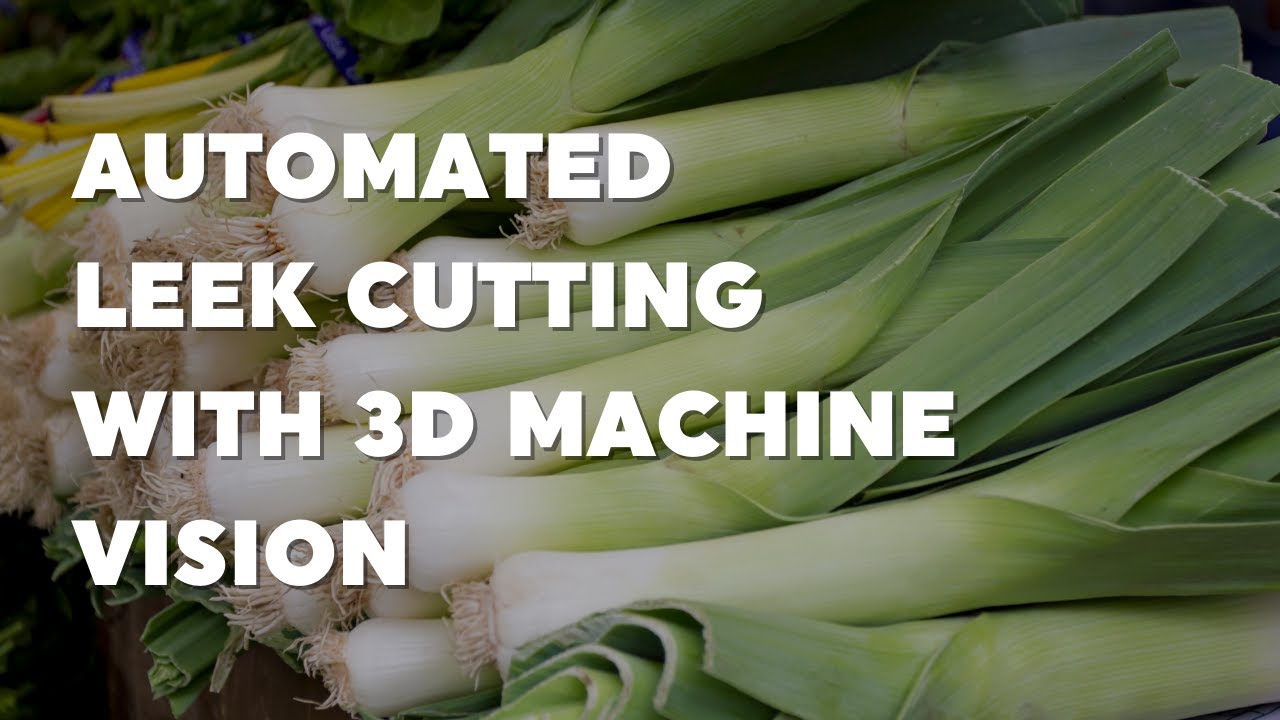 Automated Leek Cutting with 3D Machine Vision - YouTube