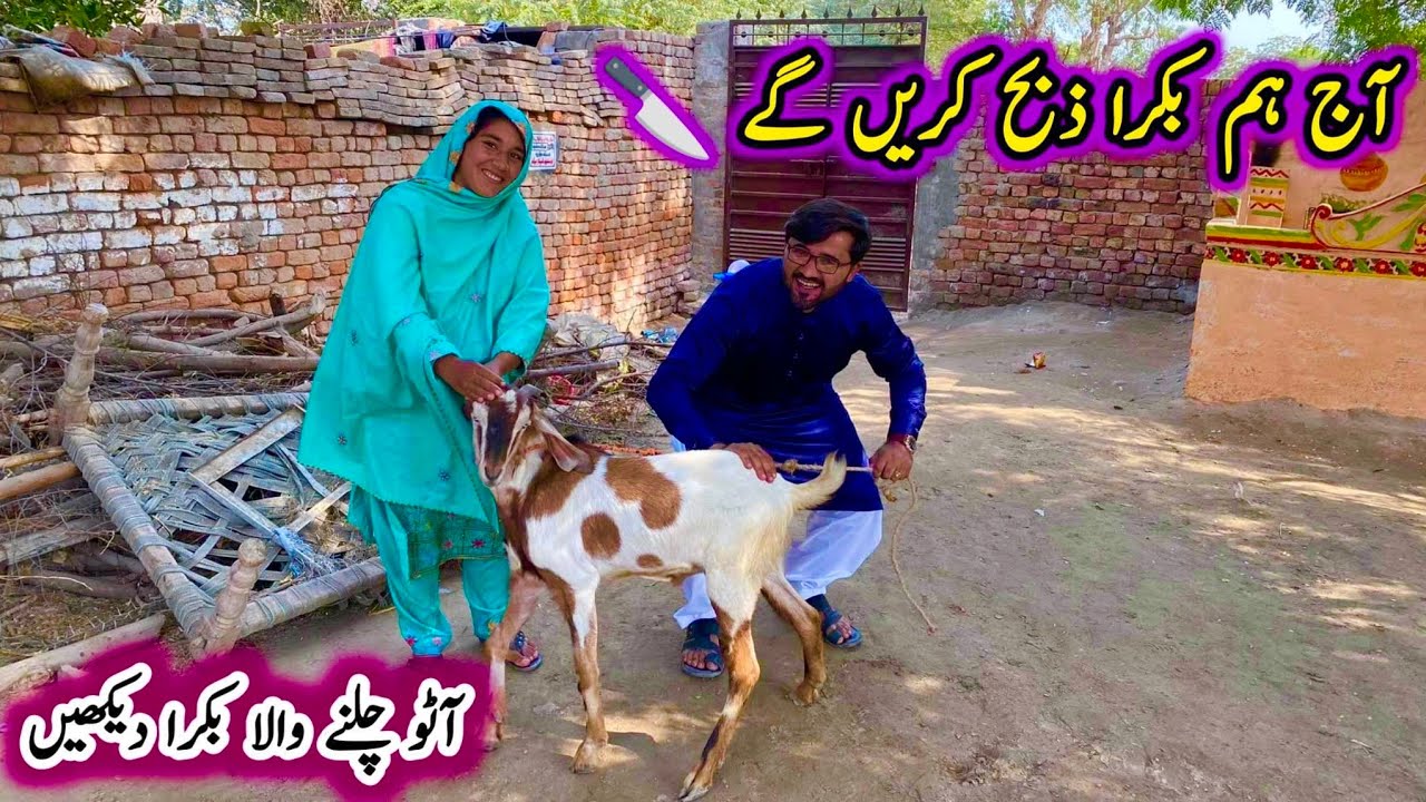 Aaj Hum Nay Bakra Zibah Karna Hai🤭 - YouTube