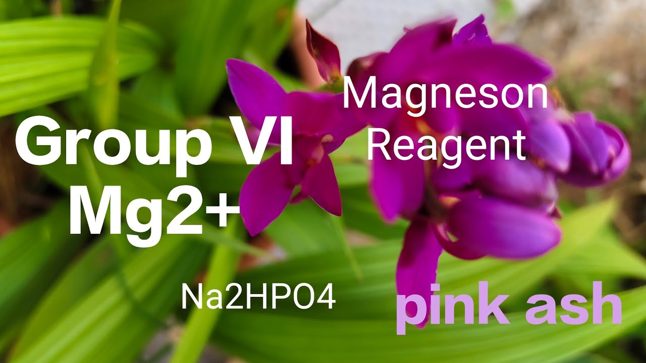 Magnesium ion# group VI cation# cation analysis#chemistry - YouTube