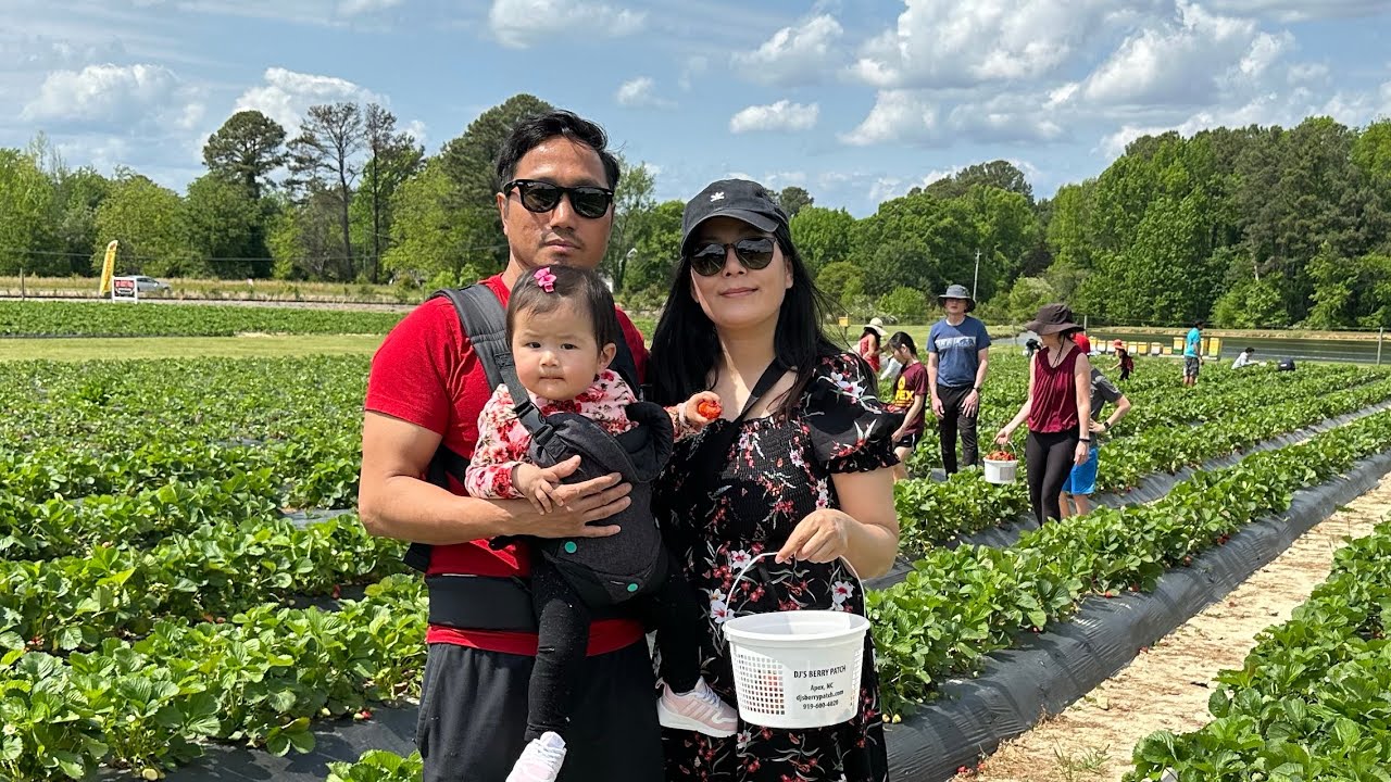 Went for first time strawberry picking 🍓🍓🍓 - YouTube