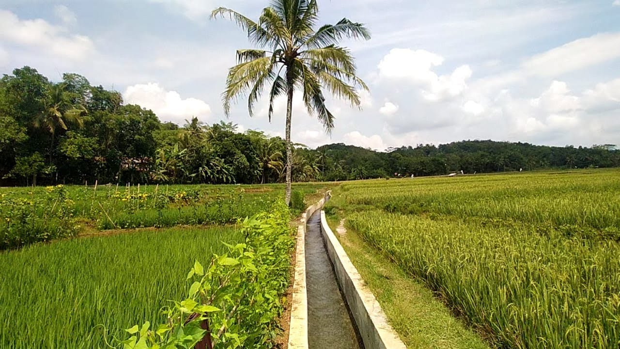 Desa Indah di Jawa Tengah Desa Banjaran, Bojongsari | Purbalingga - YouTube