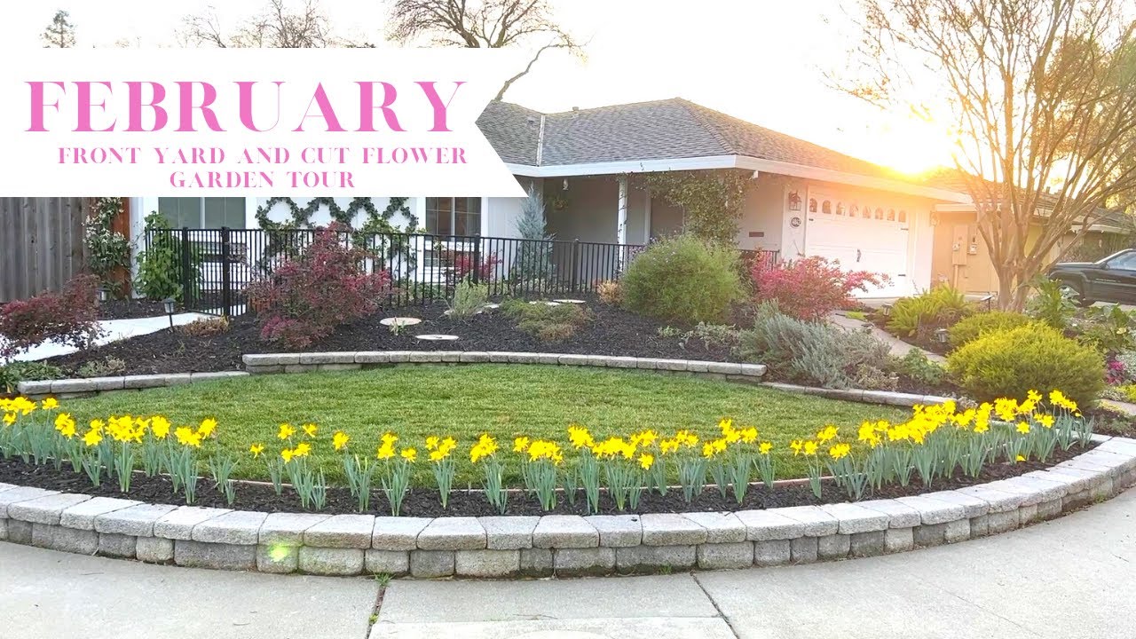 February Front Yard and Cut Flower Garden Tour! 🌷:: Gardening in Zone ...