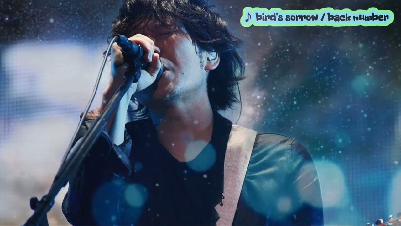 【歌詞付き】bird's sorrow | back number - YouTube