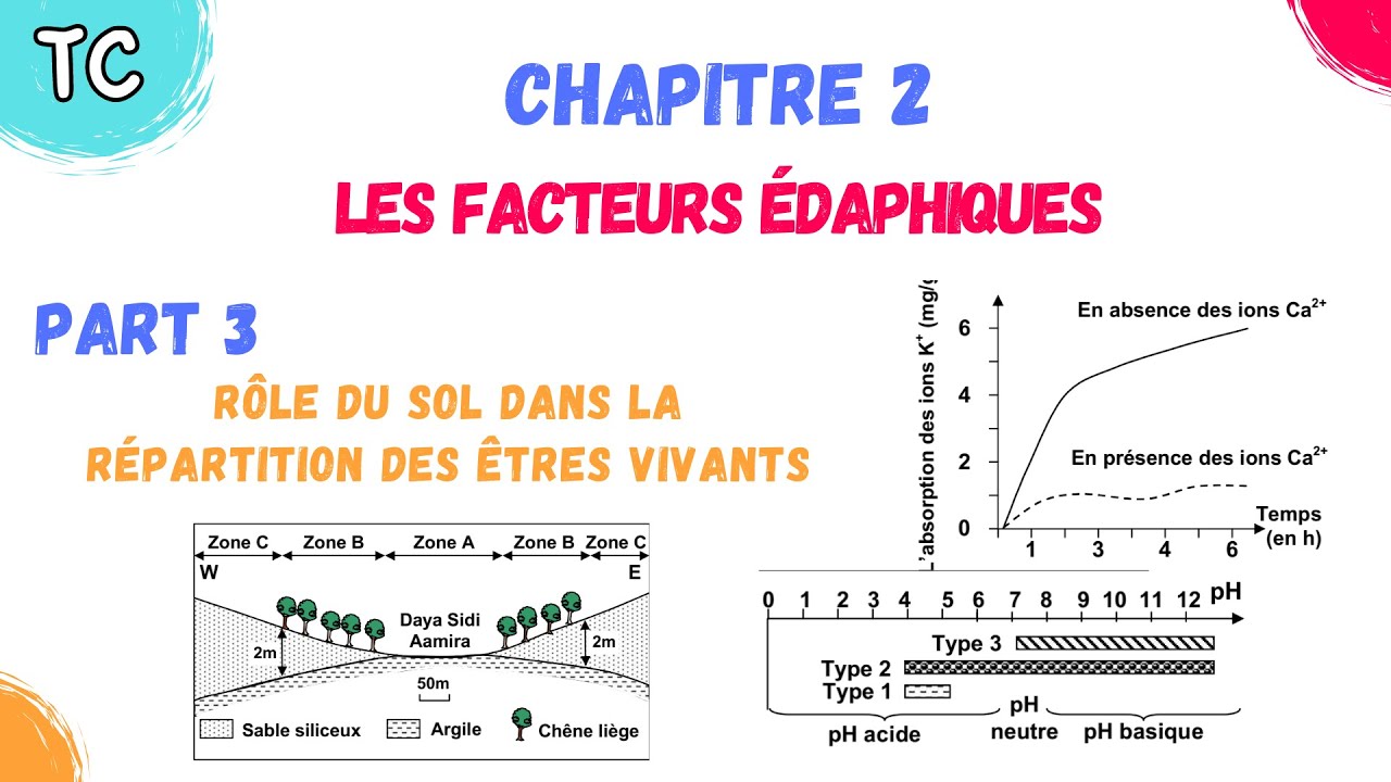 TCB SVT | Chap 2: Les Facteurs édaphiques| part 3: rôle du sol dans la ...