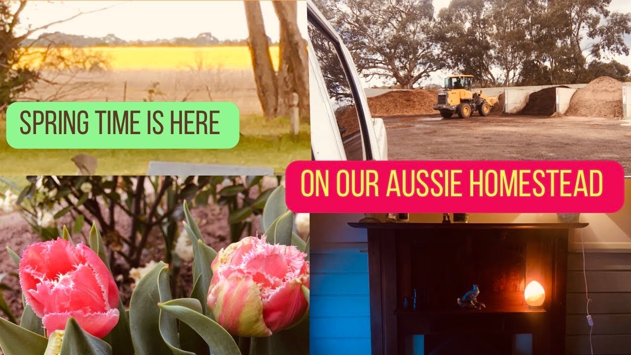 It's Spring Time On Our Aussie Homestead - YouTube