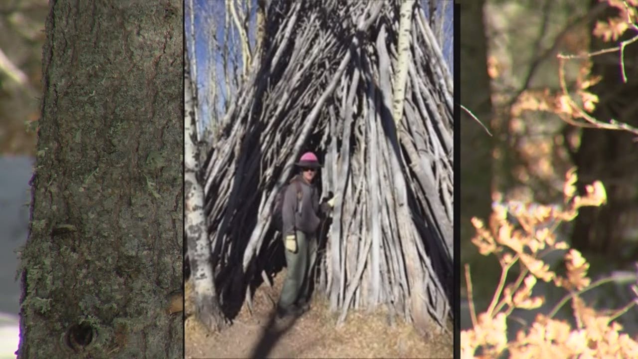Wood stick structures raise fire fears in Santa Fe National Forest ...