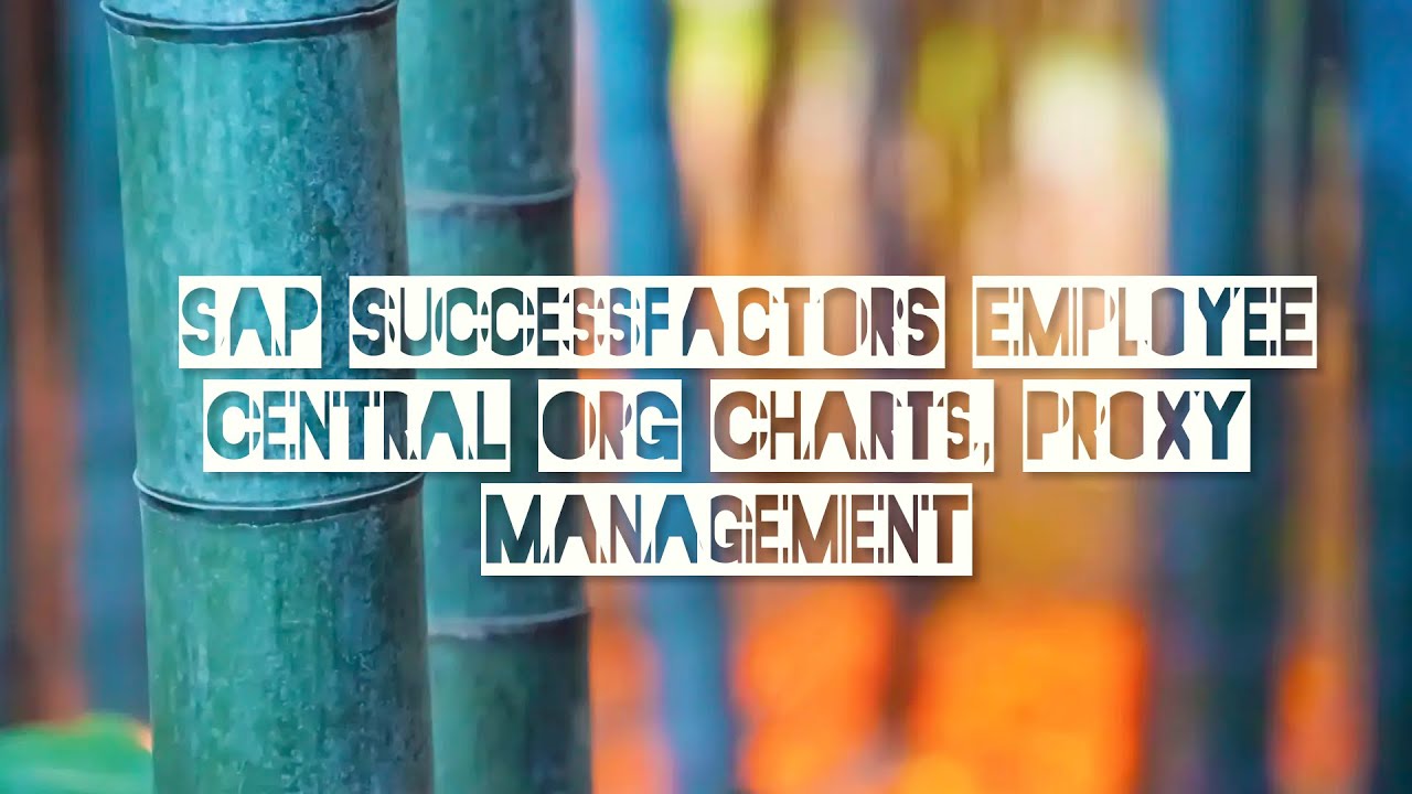 D4 SAP SuccessFactors Employee Central Org Charts, Proxy Management V1 ...