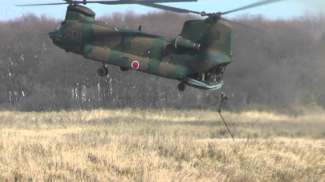 JGSDF 1st Airborne Brigade new year's descent review 2011 - YouTube