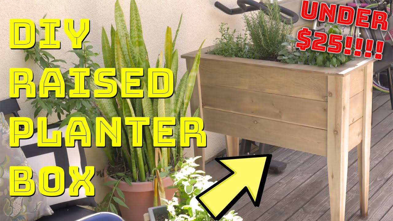 DIY Raised Planter Box Cheap - YouTube