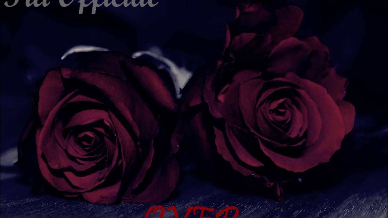 Titi Official - Over - YouTube