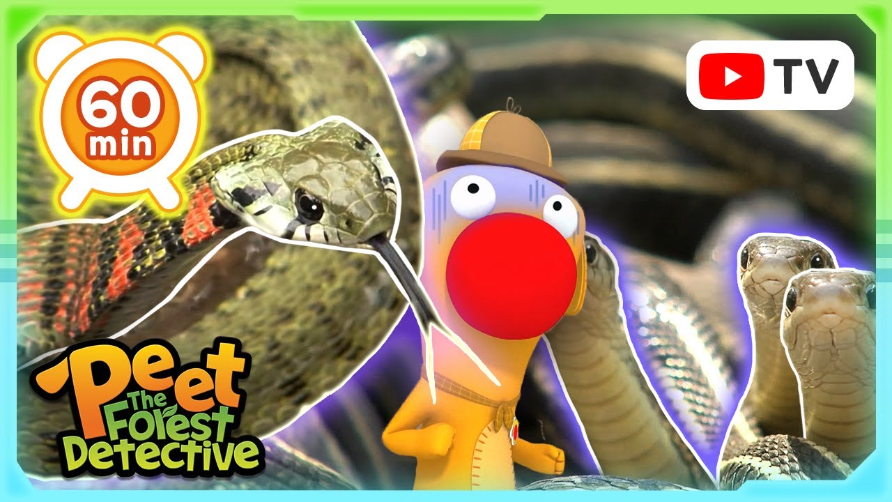 Deadly Defenses: Nature's Toxic Arsenal | Animal Stories For Kids | Peet The Forest Detective ...