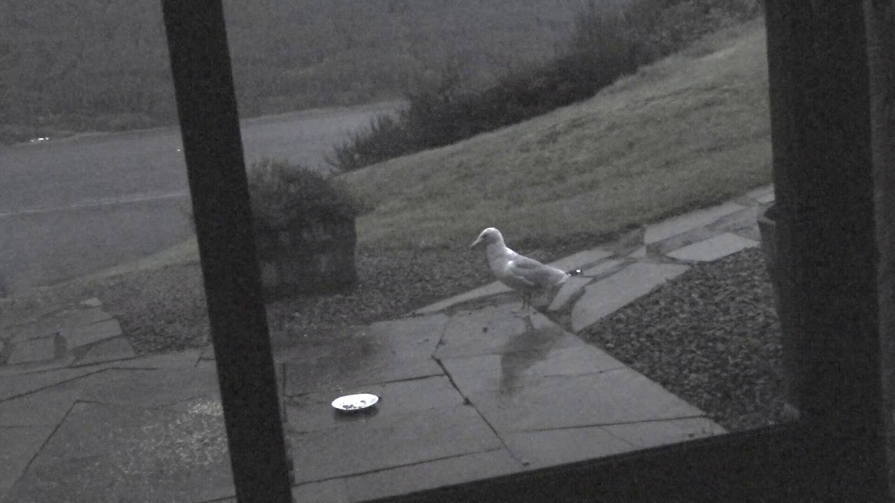The "CleanUp Crew" Waterside Cottage Inverinate Scotland - YouTube