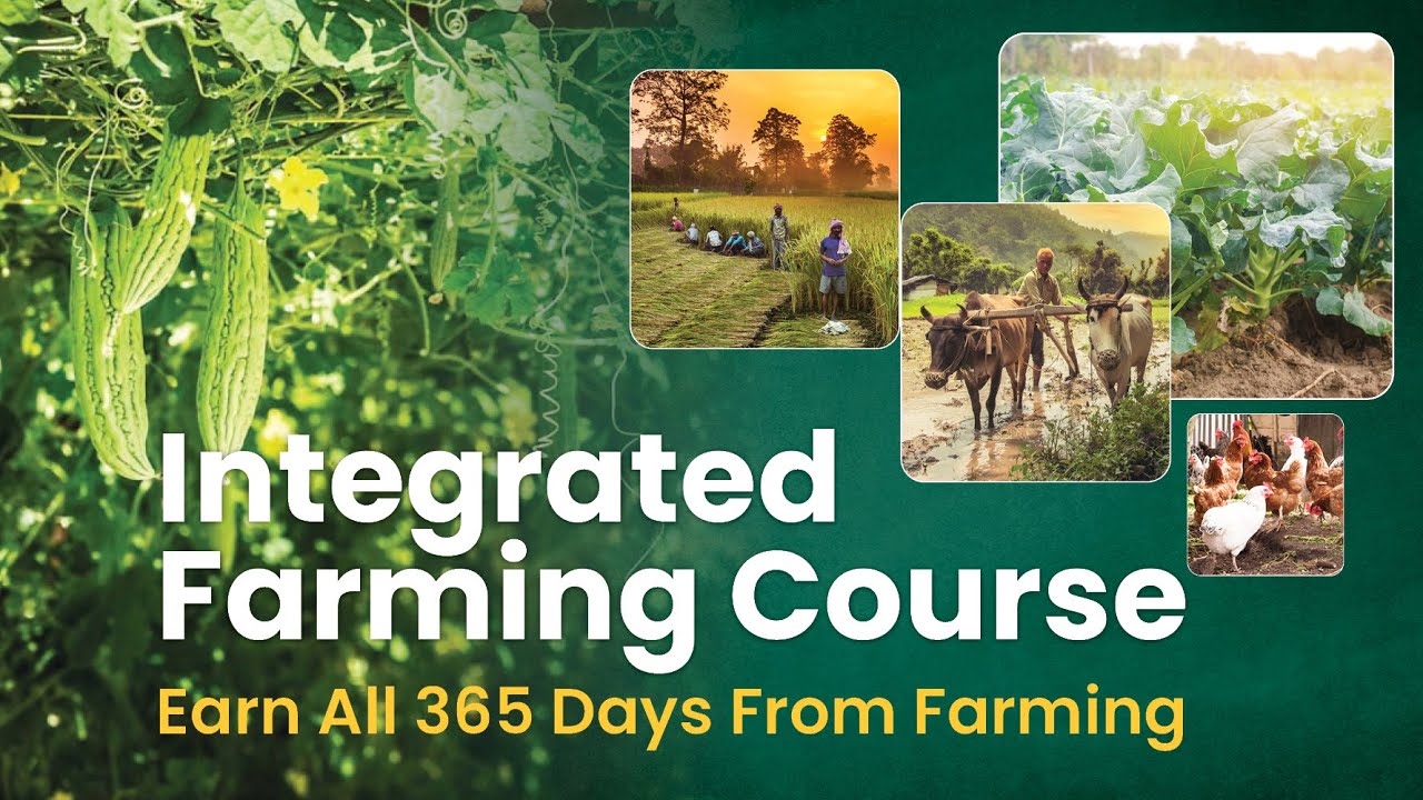 Integrated Farming Course Trailer in English | ffreedom app - YouTube