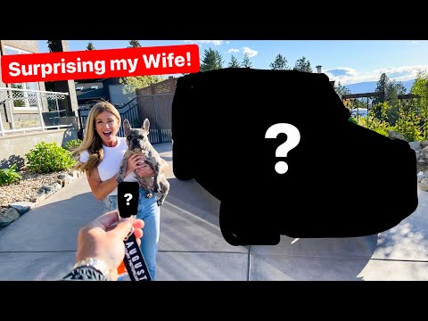 SURPRISING MY WIFE WITH NEW CAR I BROUGHT HOME …