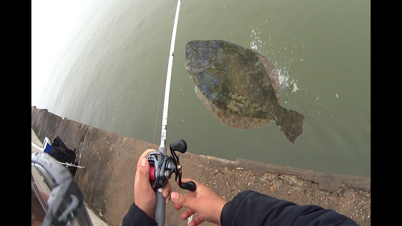 Flounder Are Moving Back In Galveston!! - YouTube