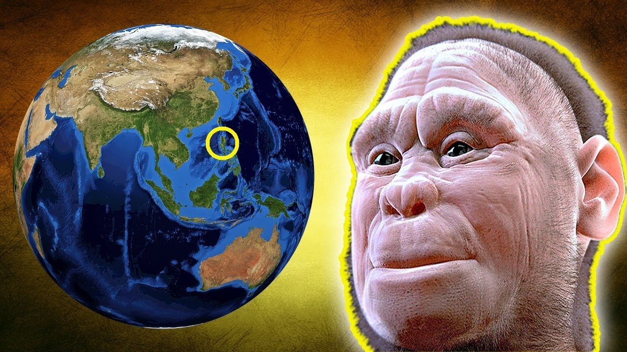 Descubren Una Nueva Especie Humana que Reescribe la Historia - YouTube